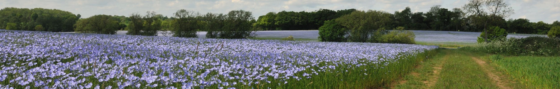 Organic Linen Fabric Swatches | The Modern Dane